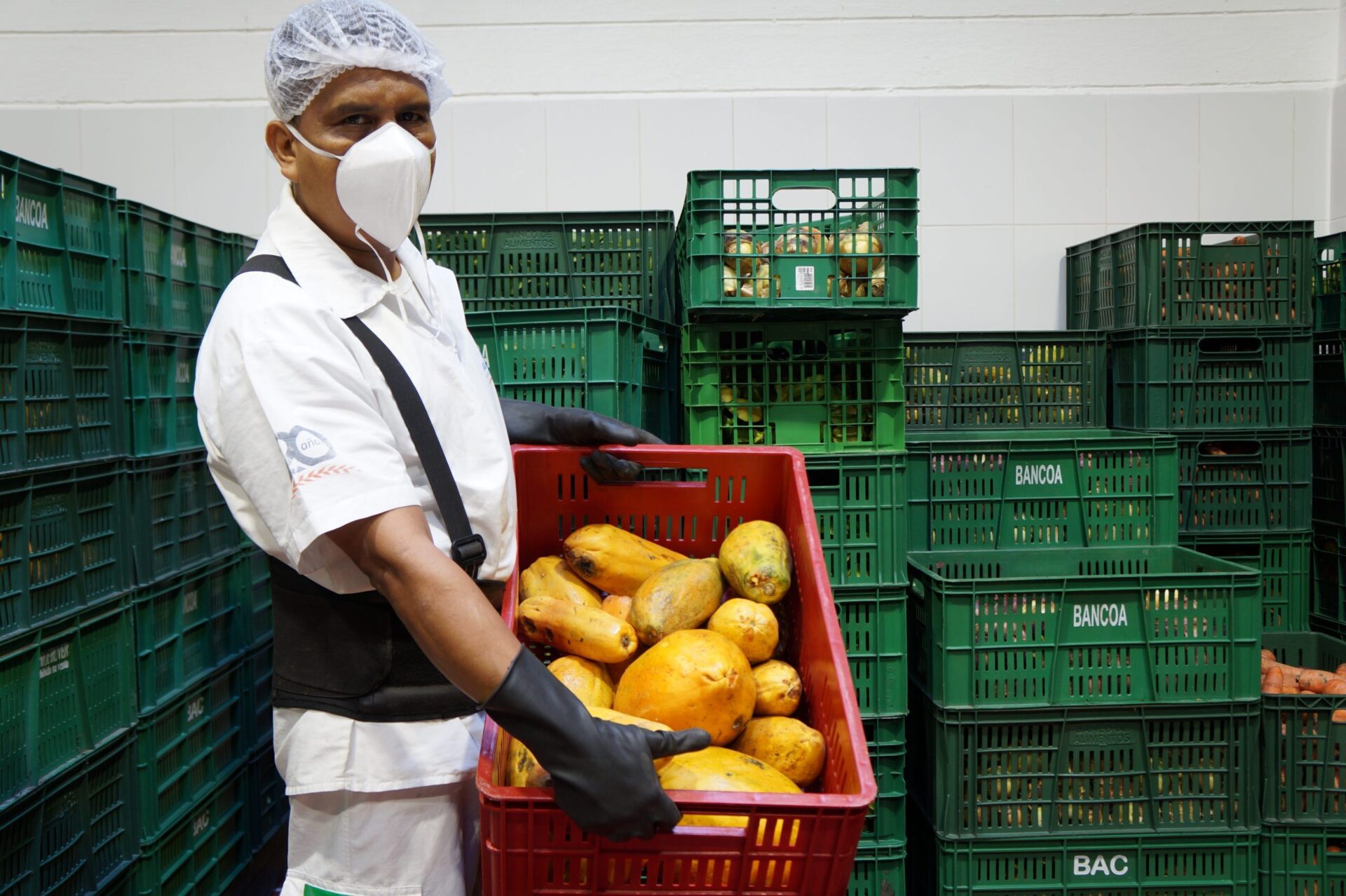 ¿Qué es Seguridad Alimentaria y Nutricional? - Banco de Alimentos Cali